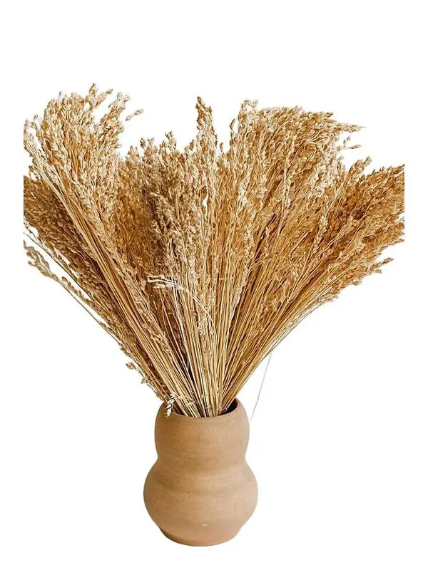 SUNHOUSE CRAFT Dried Broomcorn Harvest - Neutral