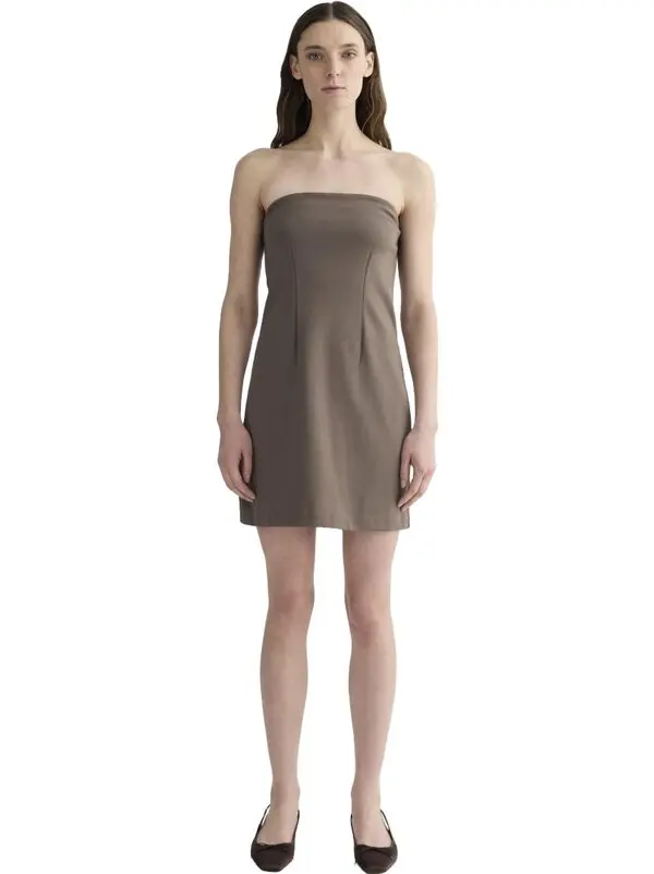 Everlane Dream Strapless Mini Dress - Deep Taupe