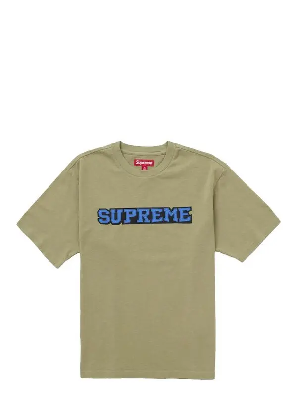 Supreme Satin Appliqué Short Sleeve Top - Light Olive