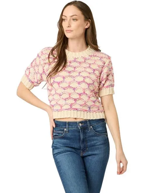 BTB LOS ANGELES Lola Crop Sweater - Magenta Multi
