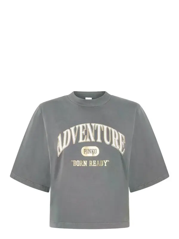 Pinko Adventure T-shirt - Grey