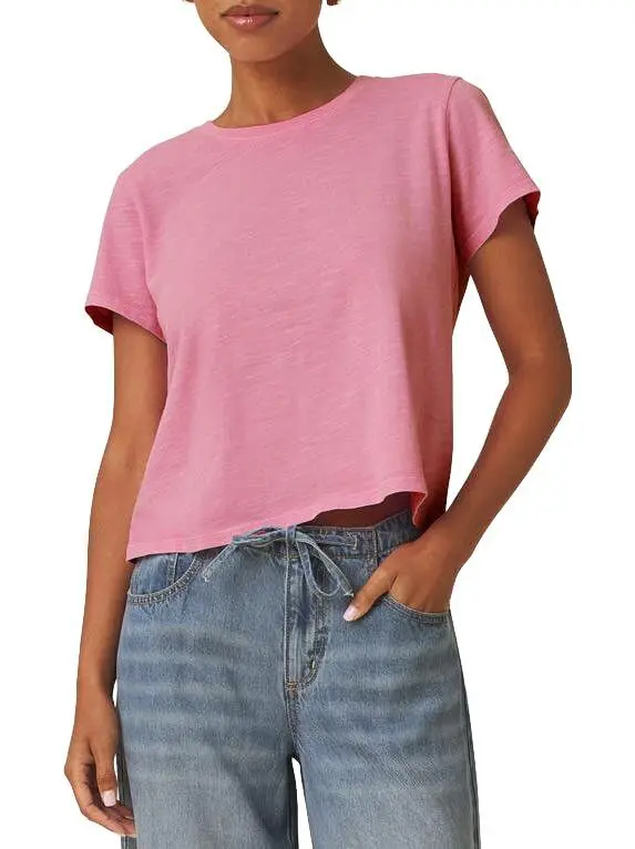 Splendid Louisa Short Sleeve T-shirt - Crushed Berry