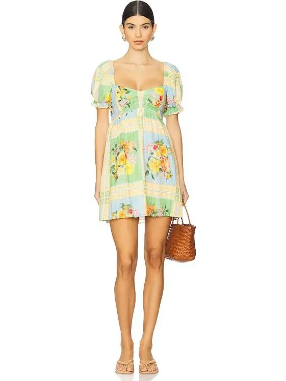 Show Me Your Mumu Annabelle Mini Dress - Country Bouquet