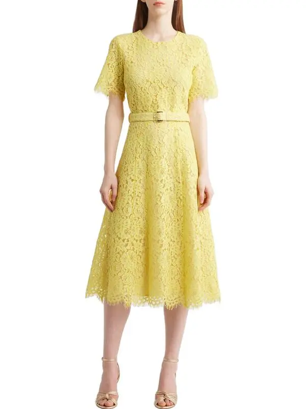 Elie Tahari Lace A-line Dress - Sunshine