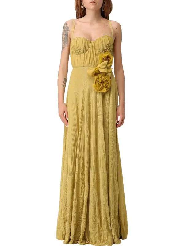 Elisabetta Franchi Maxi Dress - Brown