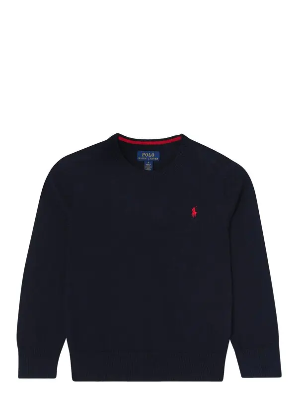 Polo Ralph Lauren Cotton Crew Neck Sweater - Blue