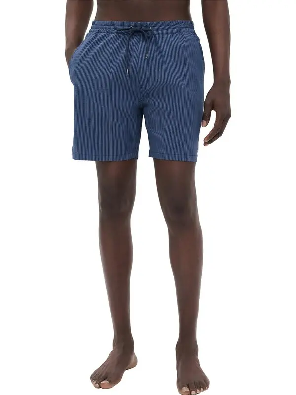 Marine Layer Lined Sport & Swim Shorts - Navy/blue Stripe