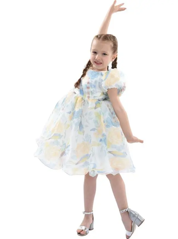 TULLEEN Chablis Floral Organza Dress - Blue