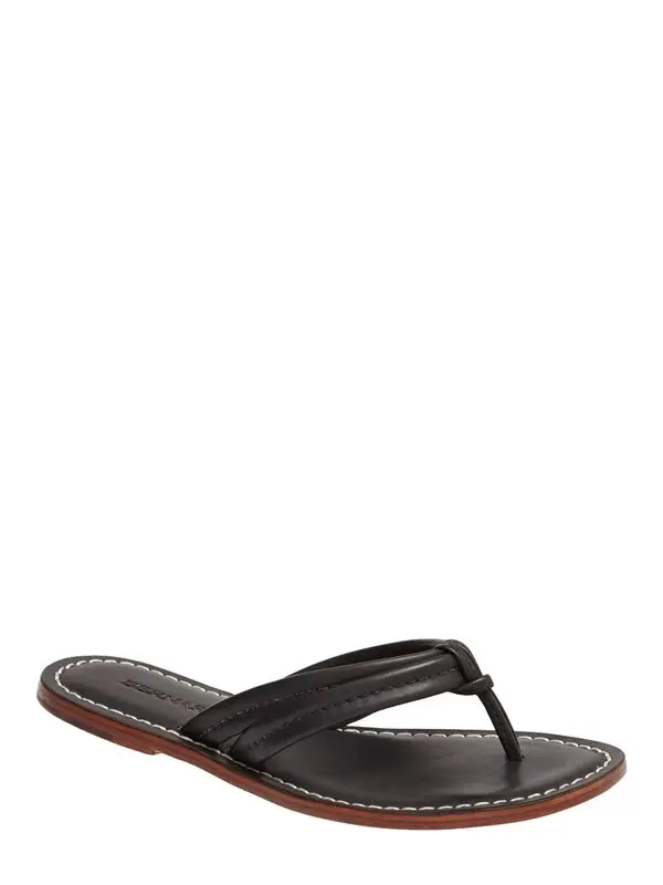 Bernardo Miami Thong Sandal - Black