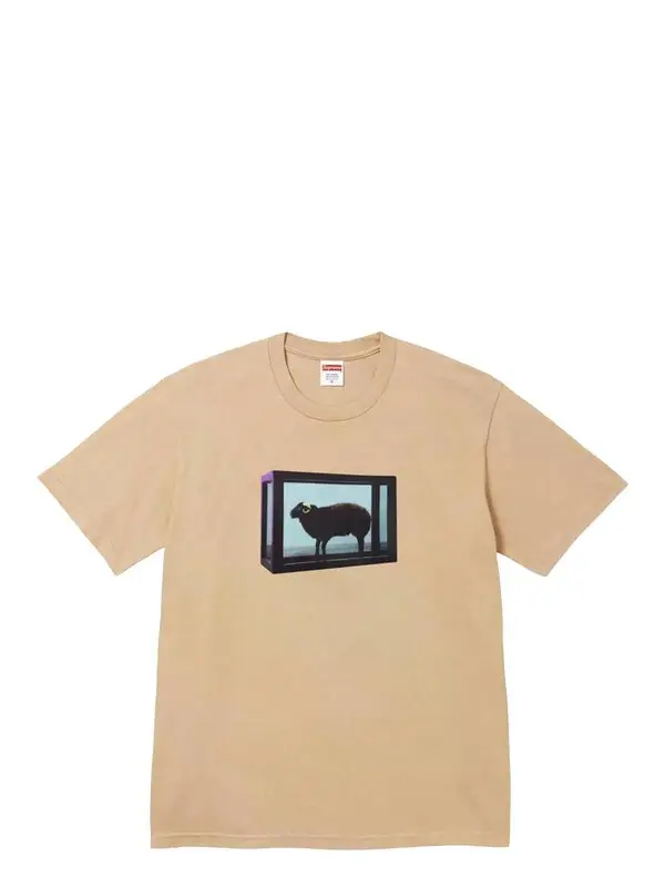 Supreme X Damien Hirst Printed T-shirt - Neutrals