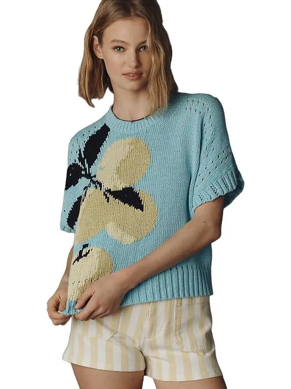 Maeve Veggie Motif Graphic Sweater - Light Blue