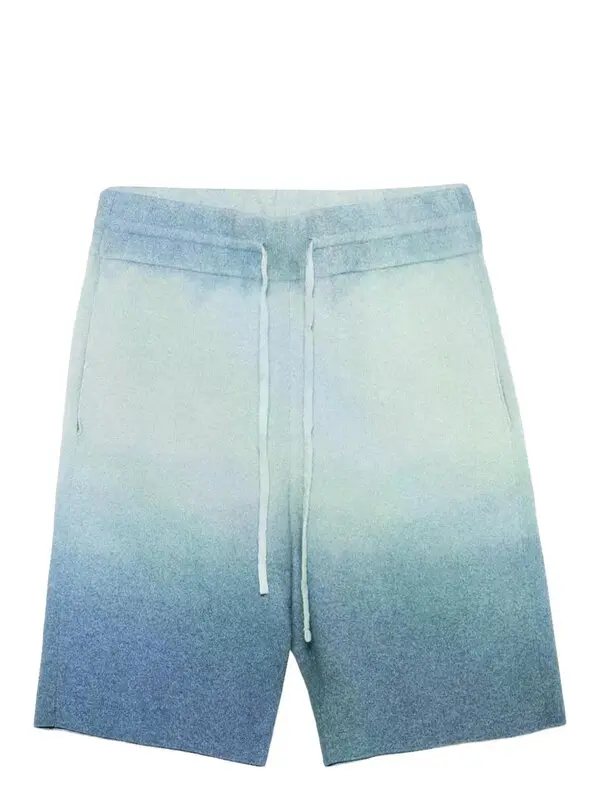 ROBERTO COLLINA Gradient Shorts - Blue