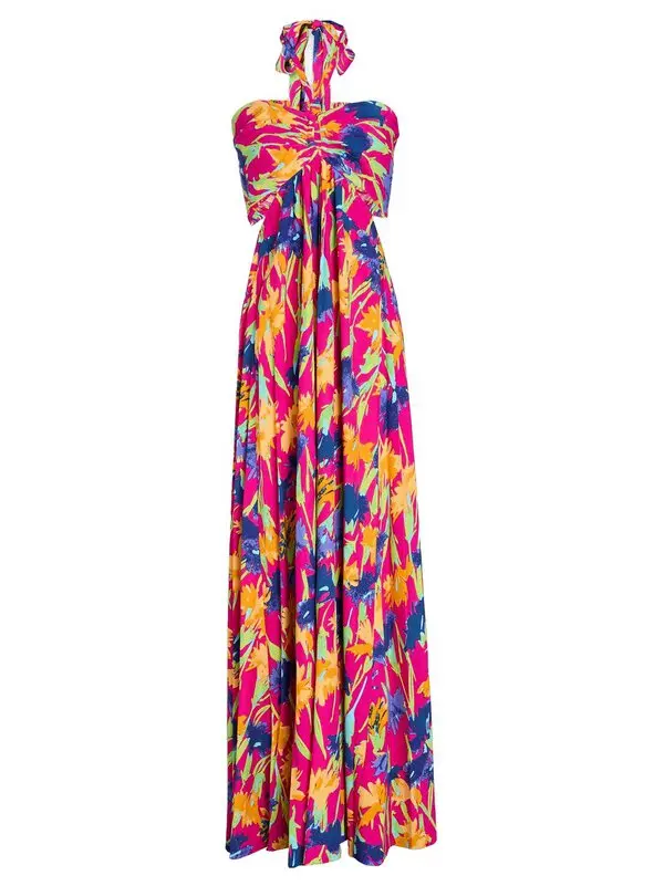 Diane Von Furstenberg Ainslina Floral-print Maxi Dress - Fuchsia