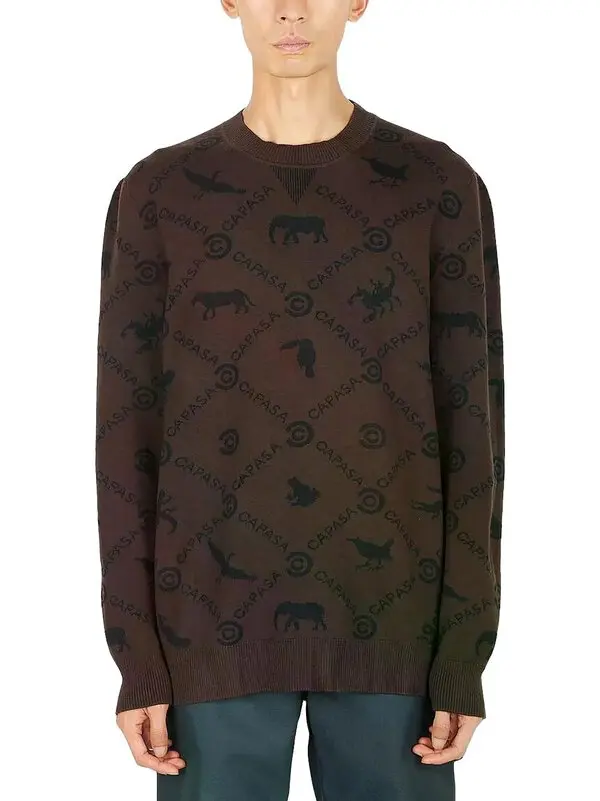 CAPASA MILANO Printed Crew Neck Sweater - Brown