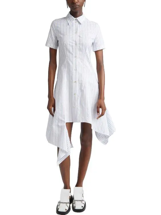Alexander McQueen Day Stripe Skull Cotton Shirtdress - White-blue-grey
