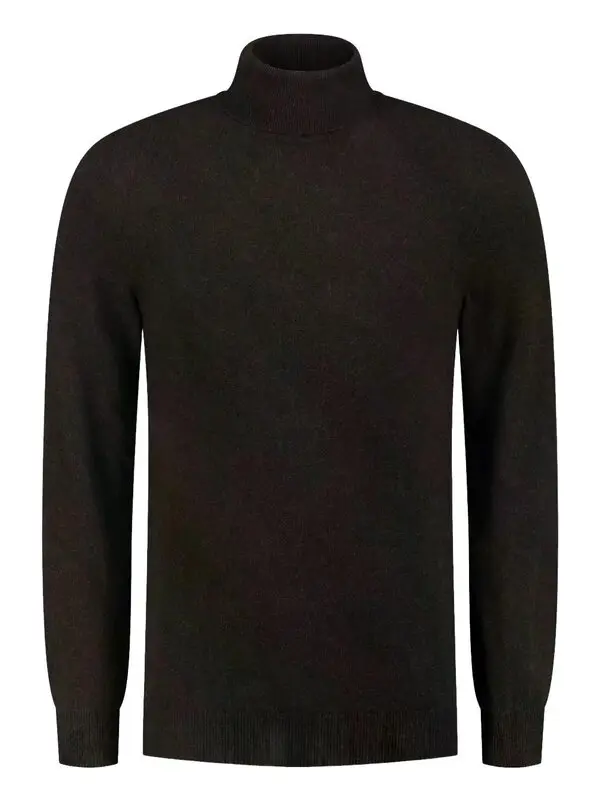 Fedeli Roll-neck Sweater - Brown