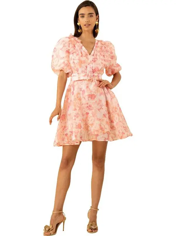 Hale Bob Promise Floral Trim Dress - Pink
