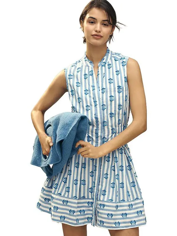 Maeve Sleeveless V-neck Fit & Flare Shirtdress - Blue & White Clip