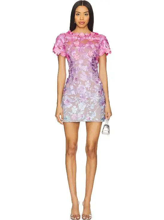 ELLIATT Bella Mini Dress - Ombre Multi