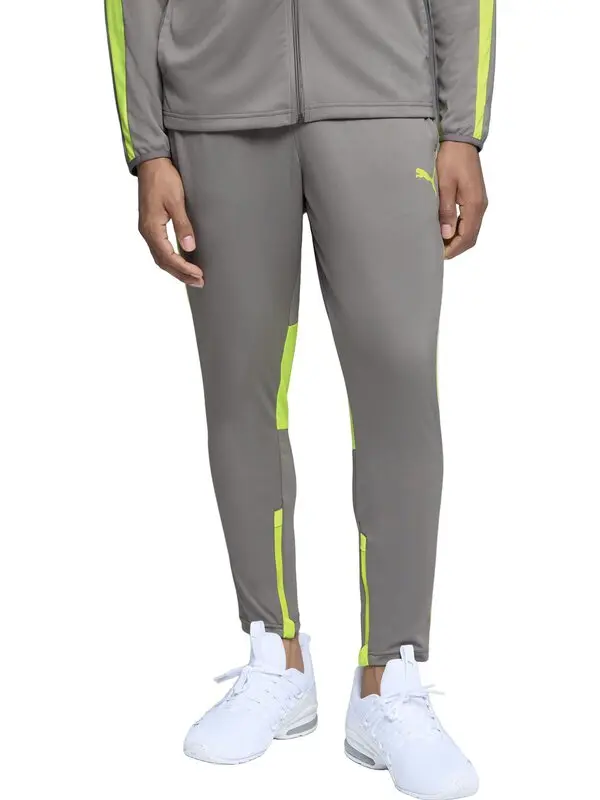 PUMA Training Favorites Pants - Gray