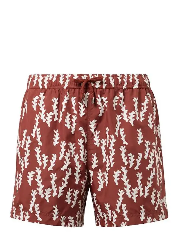 Zegna Printed Swim Trunks - Brown