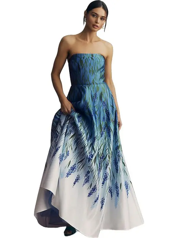 Bhldn Kira Strapless Printed Maxi Dress - Blue Meadow