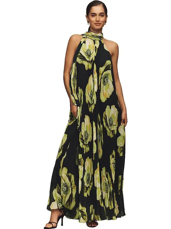 Bhldn Rosie Mock-neck Pleated Chiffon Maxi Dress - Black Floral