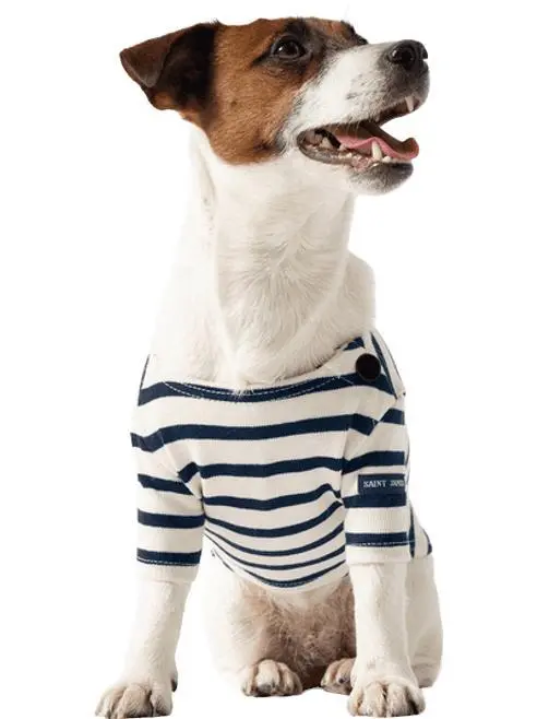 Saint James Striped Breton Shirt For Dog - Ecru/navy