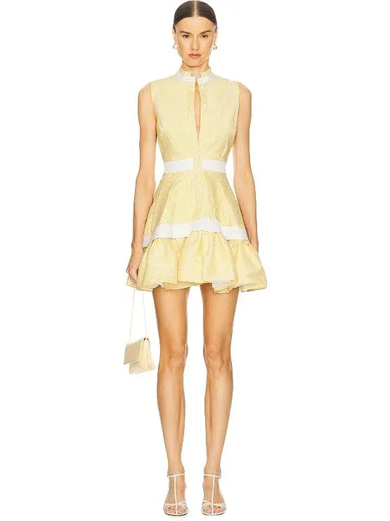 Alexis Natacha Dress - Yellow Stripes