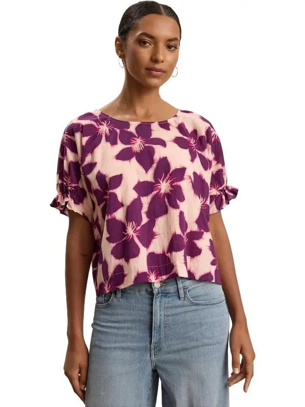 Velvet By Graham & Spencer Delilah Printed Cotton Voile Blouse - Pink