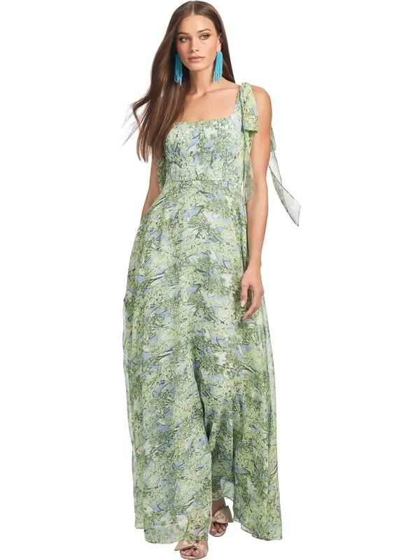 Sachin & Babi Printed Maxi Gown - Peridot Bouquet