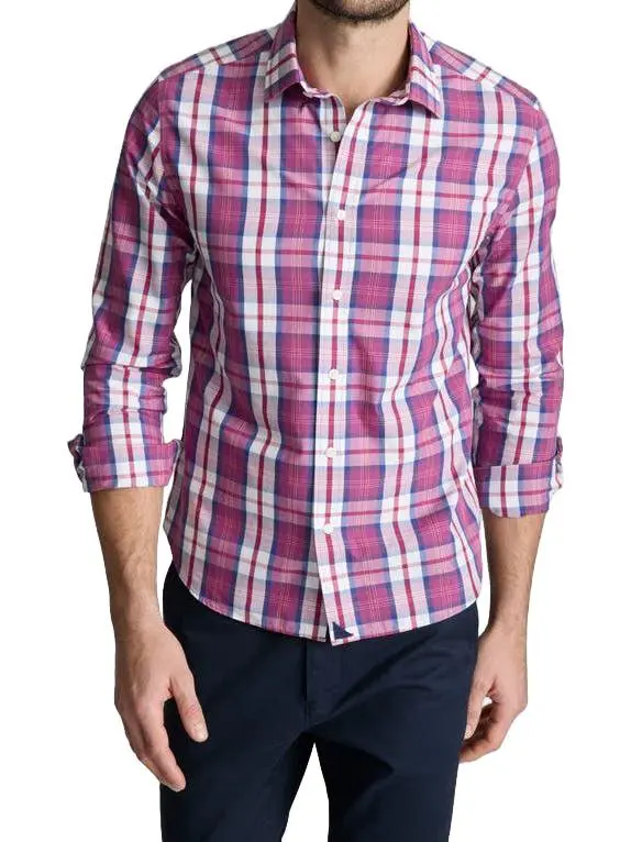 UNTUCKIT Rafferty Wrinkle Free Cotton Button-up Shirt - Plum