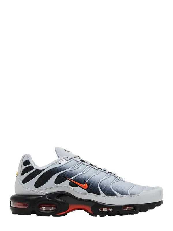 Nike Air Max Plus Sneakers - Grey