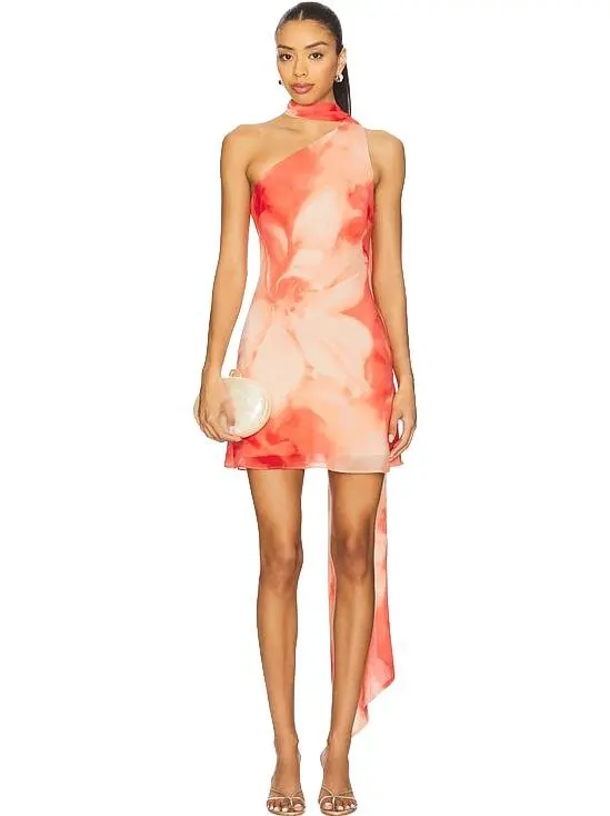 LOVERS AND FRIENDS Kima Mini Dress - Orange Floral