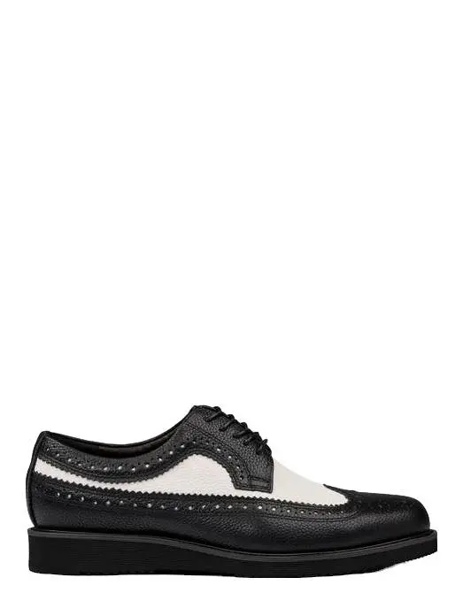 MARC NOLAN Alexander Wingtip Derby - Black/ White
