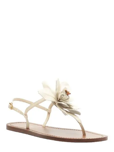 AREZZO Daisy Slingback Sandal - Panacota