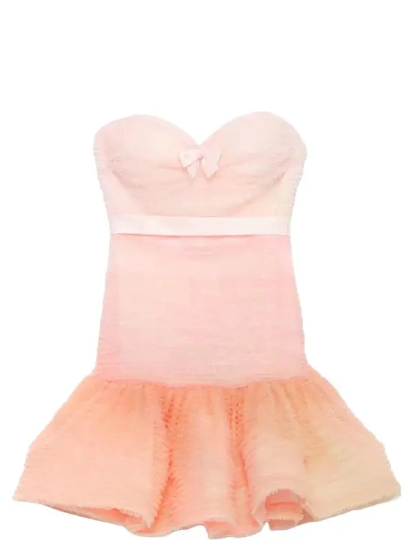Viktor & Rolf Degradé Tulle Mini Dress - Pink