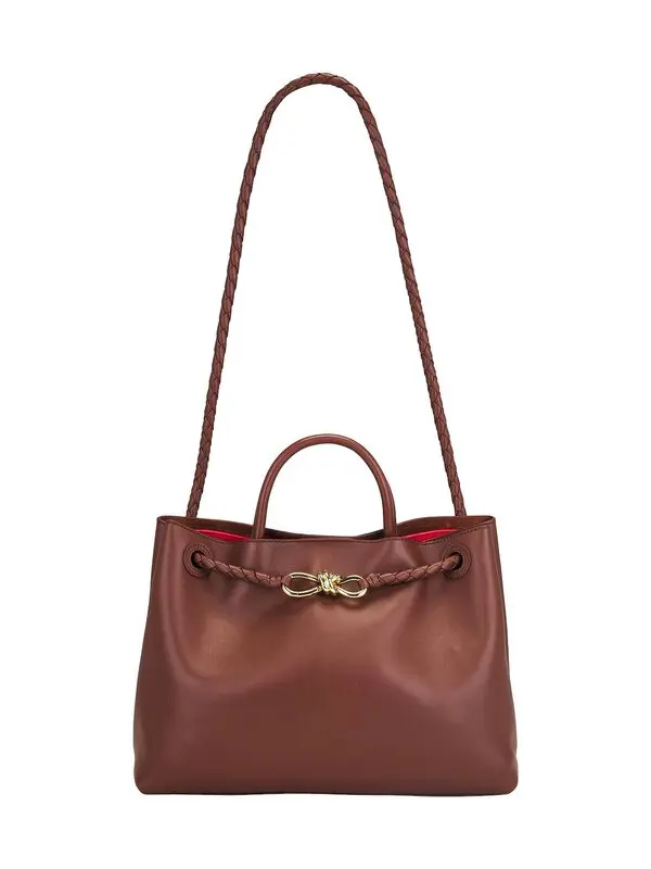 Bottega Veneta Andiamo Bag - Sapele  Red Stone  & Muse Brass