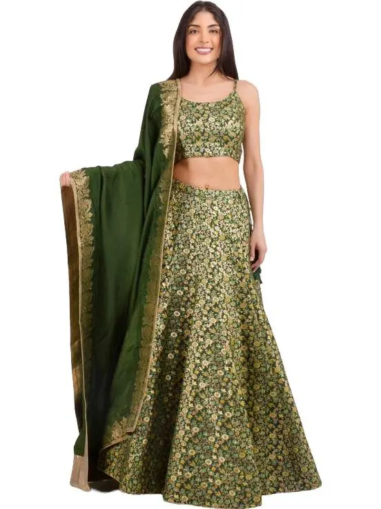 RAAS Banarasi Lehenga Choli Set - Green