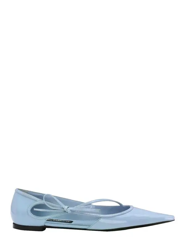 Dolce & Gabbana Dna Leather Ballerinas - Blue