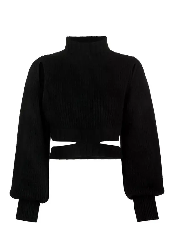ANDREĀDAMO Roll-neck Cropped Knit Jumper - Black