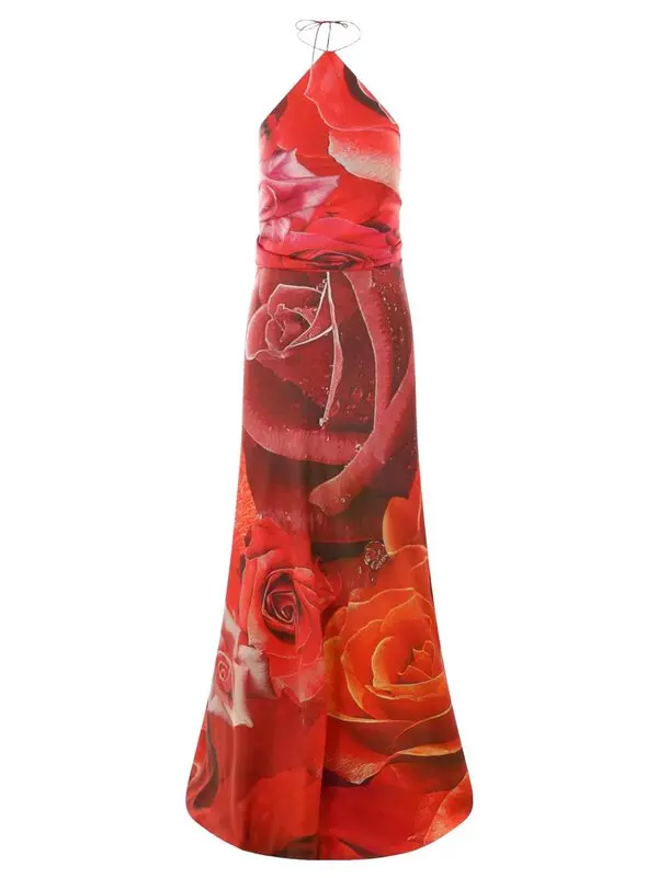 Roberto Cavalli Garden Rose-print Maxi Dress - Red