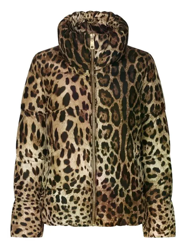 Dolce & Gabbana Leopard-print Padded Jacket - Brown