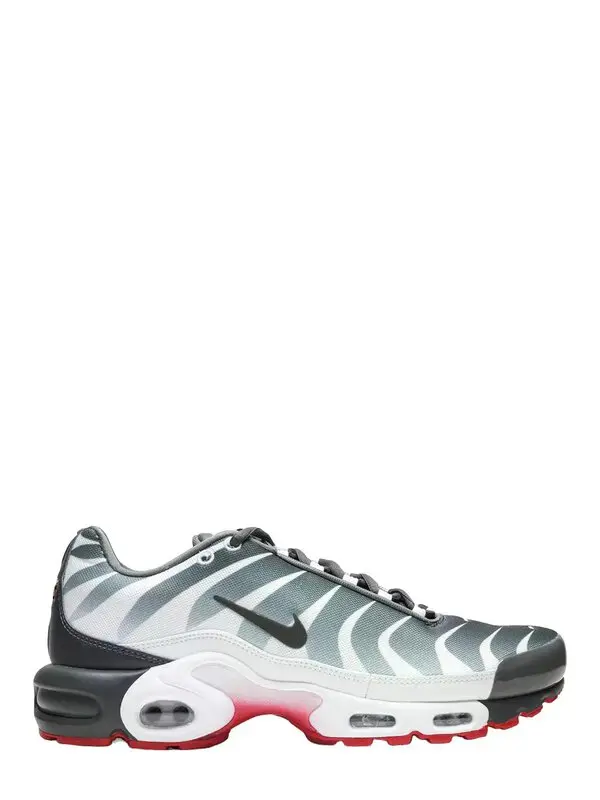 Nike Air Max Plus Sneakers - Grey