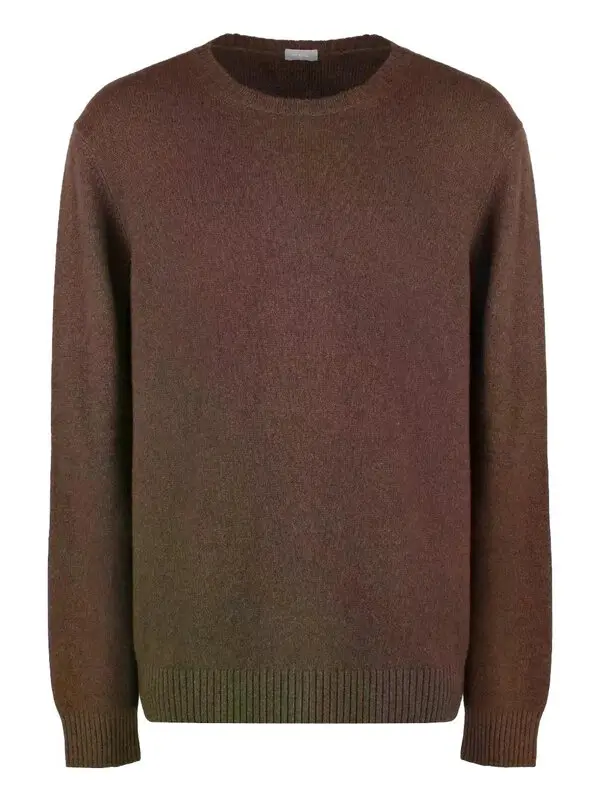 Malo Cashmere Crew Neck Sweater - Brown