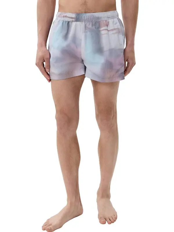 AUTO-REPLY Printed Sebastian Swim Trunks - Painterly Blur