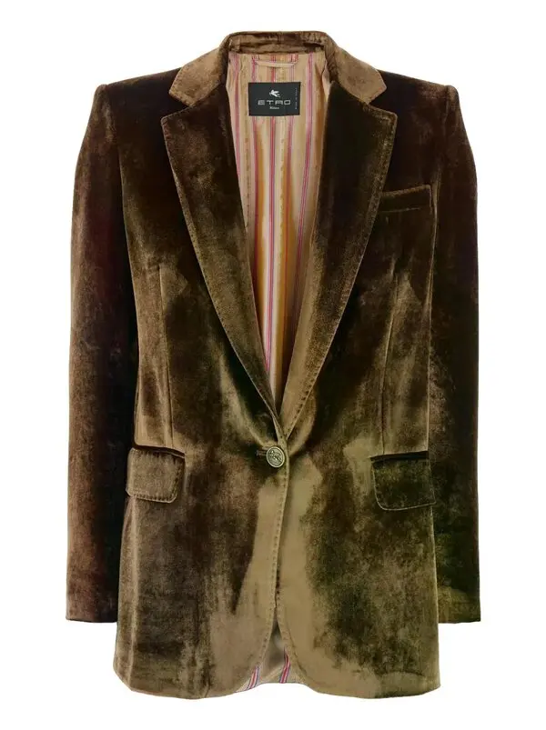 Etro Velvet Single-button Blazer - Brown