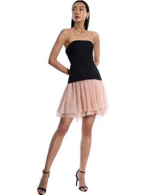 Bcbgmaxazria Strapless Tutu Dress - Black/almond