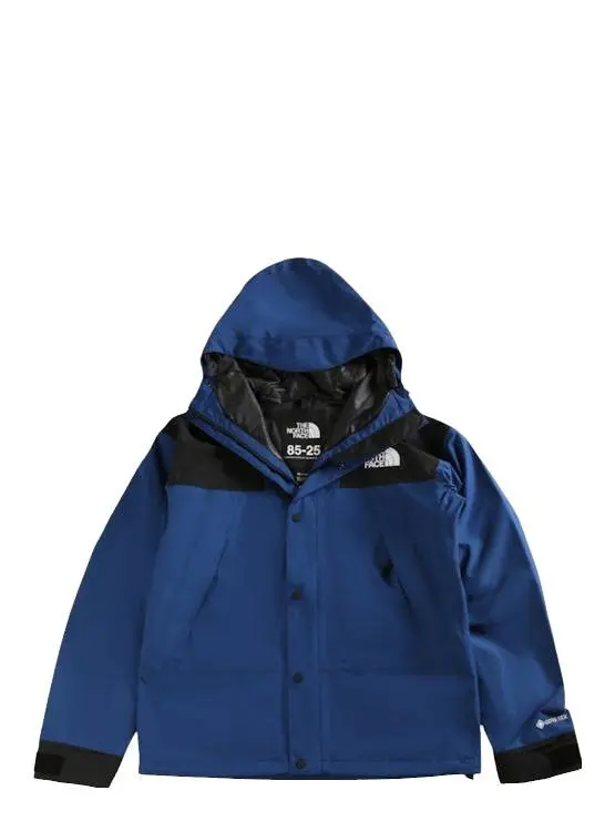 The North Face Gtx Mountain Jacket - Blue/tnfblack
