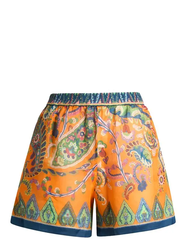 Etro Printed Beach Shorts - Print